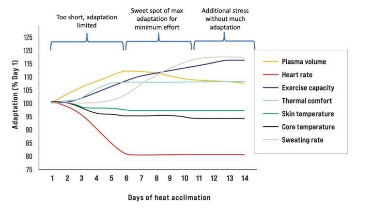 Trainright Guide to Exercise and Performance in Hot Weather - CTS