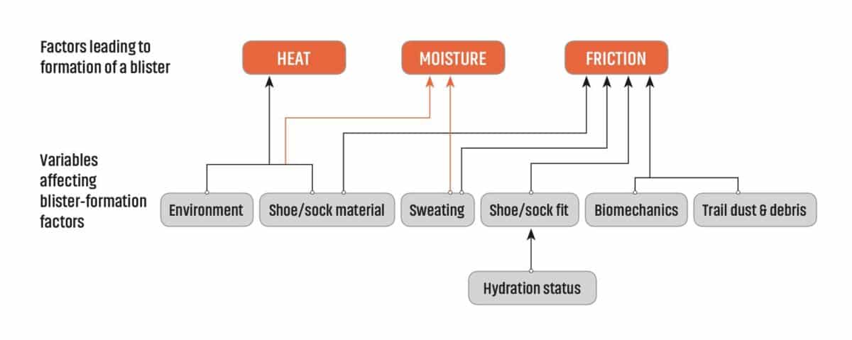 Running Blisters: The Science and Best Practices for Prevention ...
