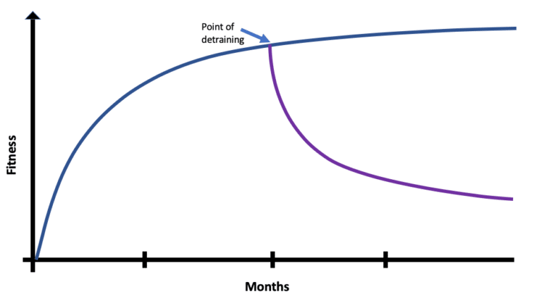 Good News About Detraining: It's not as bad or as fast as you think ...