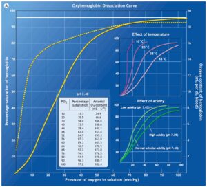 Pulse Oximetry for Athletes: Using Oxygen Saturation as a Training Tool ...