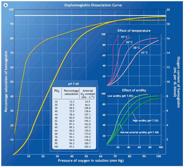 Pulse Oximetry for Athletes: Using Oxygen Saturation as a Training Tool ...