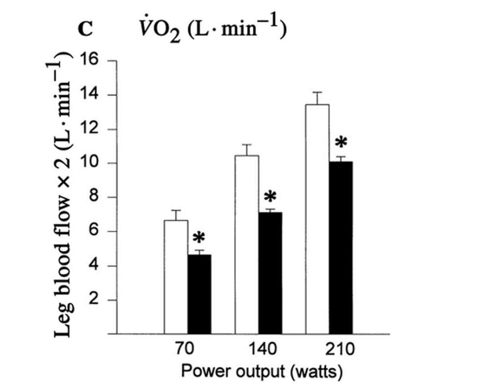 Why VO2 max Declines in Older Athletes (and what you can do about it) - CTS